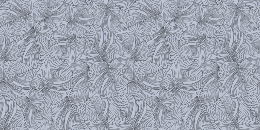 Case Study – Délicieux Chocolat - Alexir Partnership